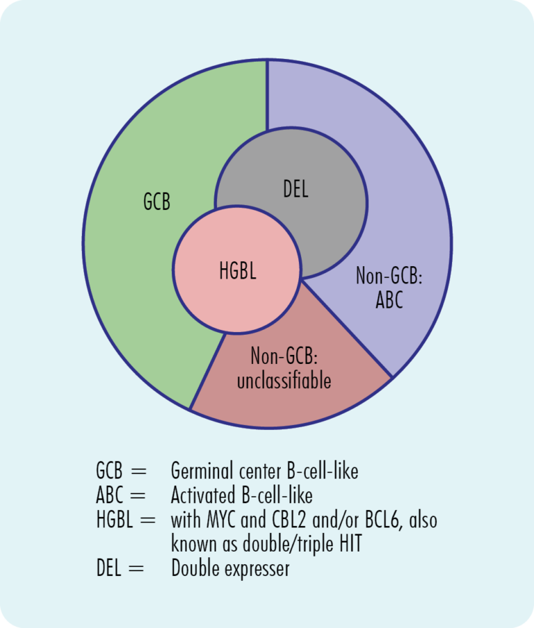 Diffuse Large B-cell Lymphoma (DLBCL) - Lymphoma Australia