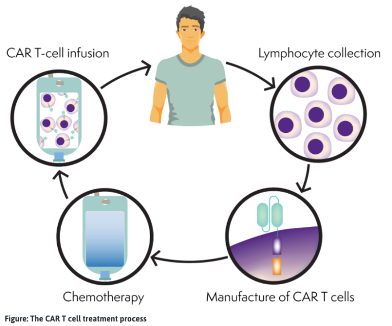 The CAR T-cell process - Lymphoma Australia