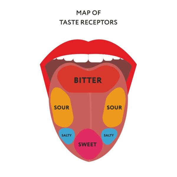 Taste Changes - Lymphoma Australia